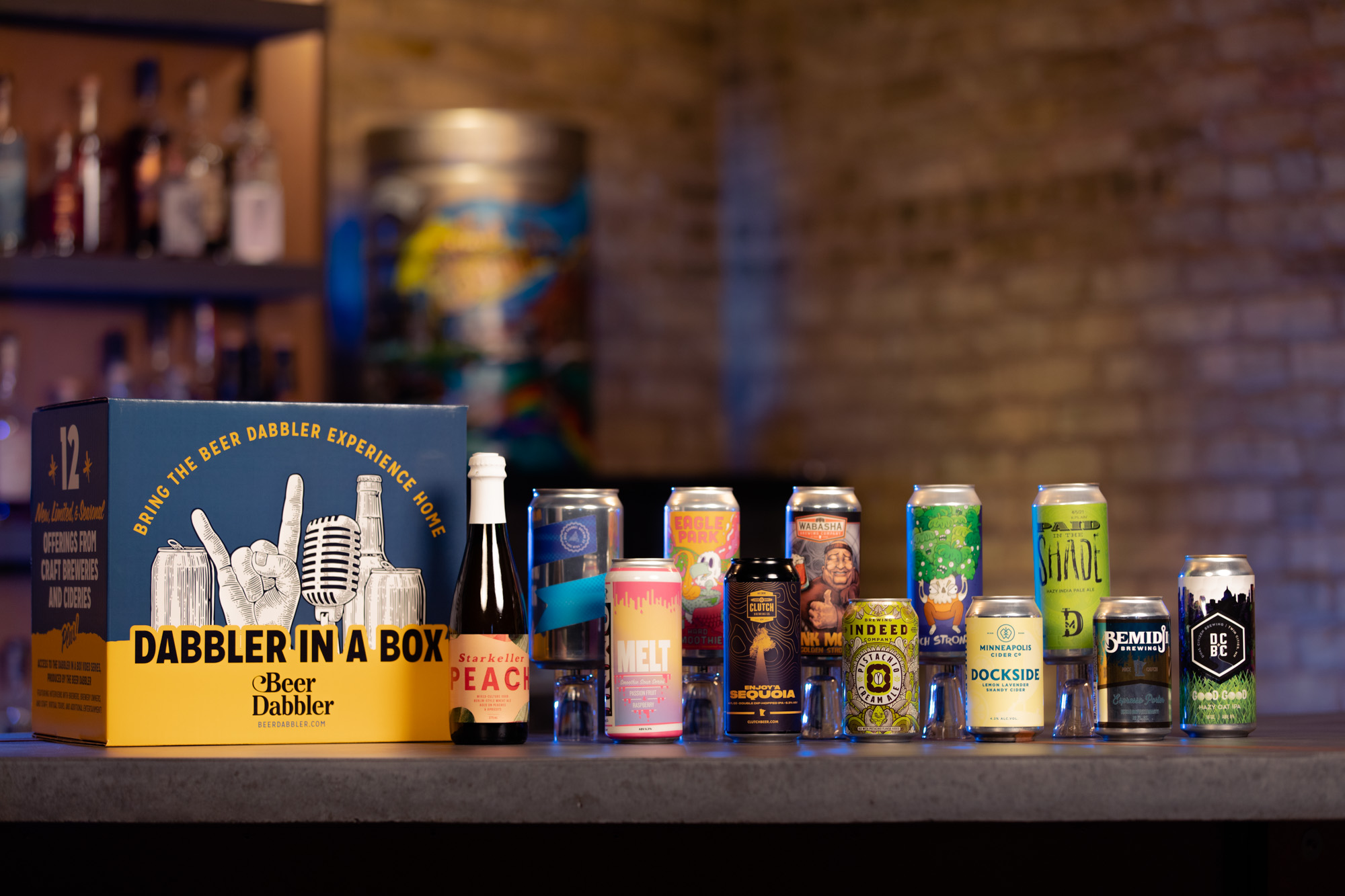 Dabbler In A Box • Beer Dabbler